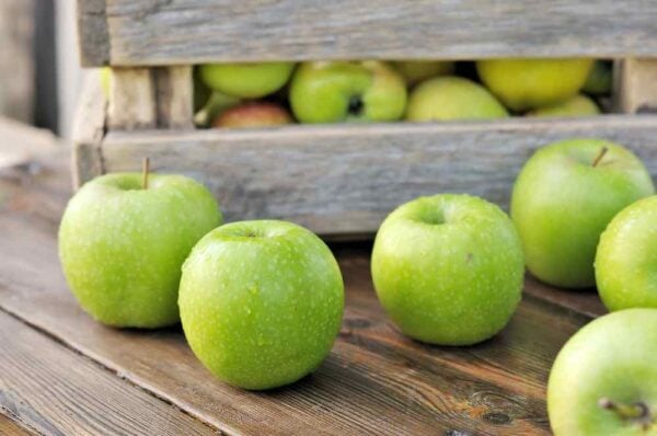 The Longfield Apple - Minneopa Orchards