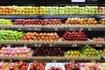 All About Jazz Apples - Minneopa Orchards