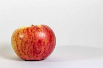 All About Empire Apples - Minneopa Orchards