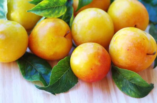 Yellow Plums: Everything You Need To Know - Minneopa Orchards