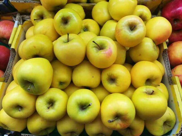 All About Gold Rush Apples - Minneopa Orchards