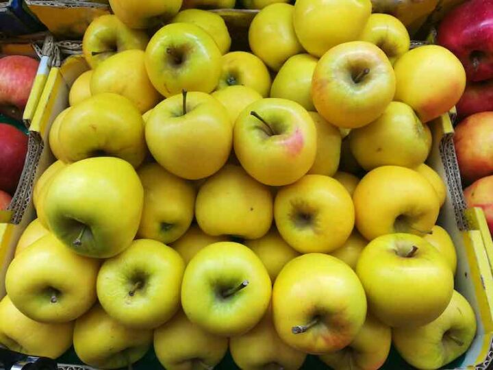 All About Gold Rush Apples - Minneopa Orchards