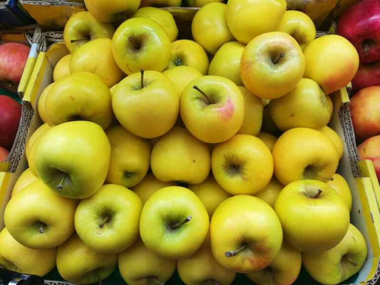 All About Gold Rush Apples - Minneopa Orchards