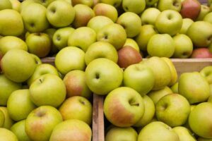 All About Gold Rush Apples - Minneopa Orchards