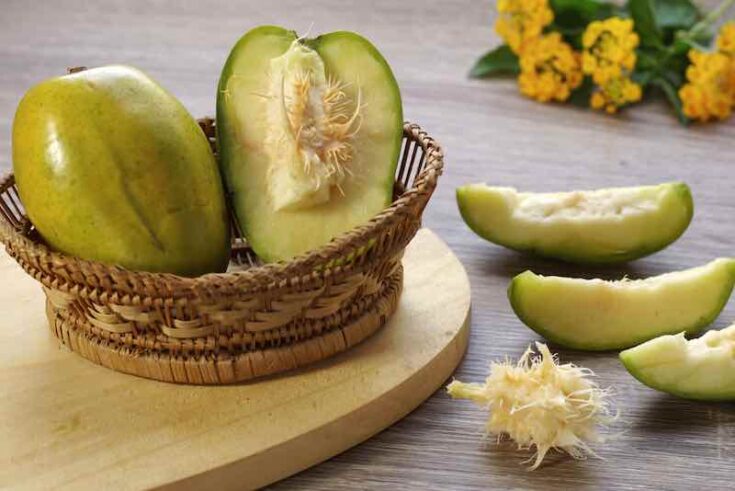 All About the Hog Plum - Minnetonka Orchards