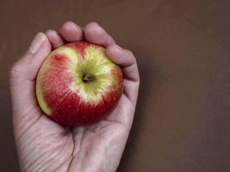 What Are Akane Apples And Why You Should Grow Them - Minneopa Orchards