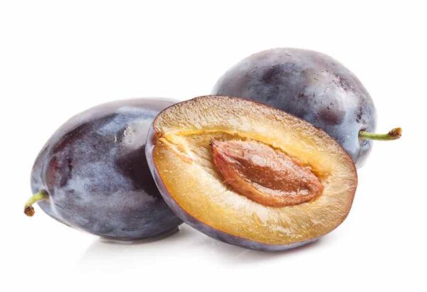 All About Italian Plums - Minneopa Orchards