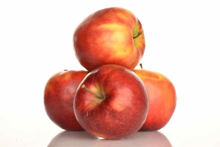 All About Jonathan Apples - Minneopa Orchards