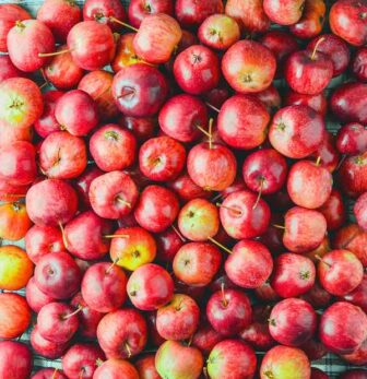 All About The Pixie Crunch Apple - Minneopa Orchards