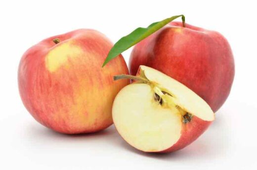 All About Jonathan Apples - Minneopa Orchards