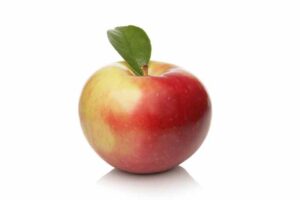 All About Zestar Apples - Minneopa Orchards