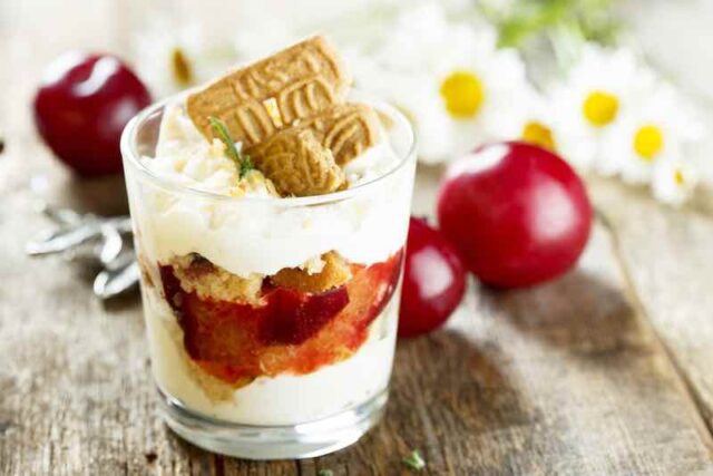 Bruce Plum Tree: A Red Varietal - Minneopa Orchards