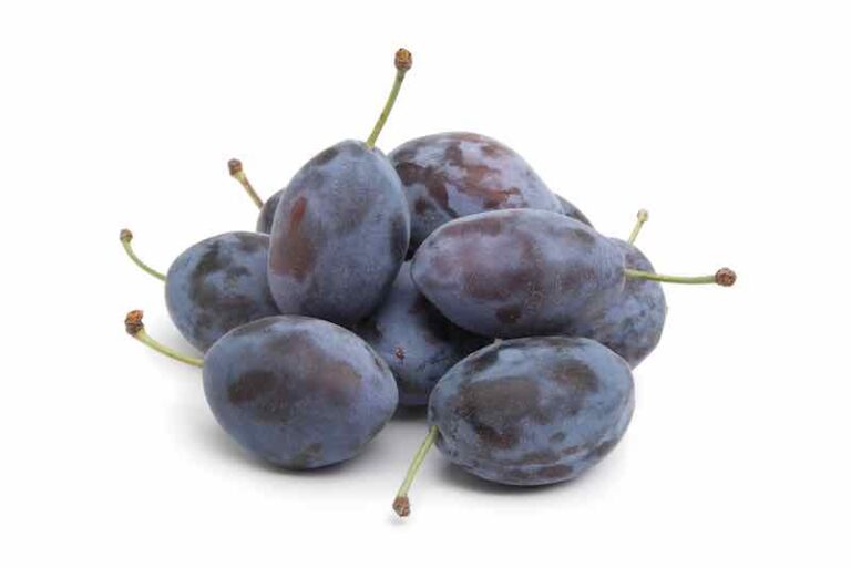 Everything You Need to Know About Damson Plums - Minneopa Orchards
