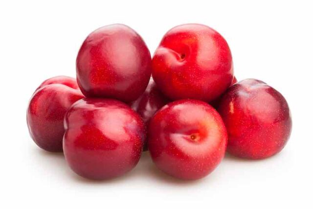 Why The Superior Plum Tree Is... Superior - Minneopa Orchards