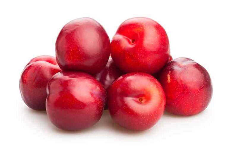 Why The Superior Plum Tree Is... Superior - Minneopa Orchards