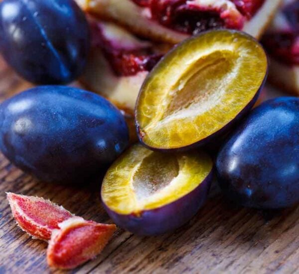 Everything You Need to Know About Damson Plums - Minneopa Orchards