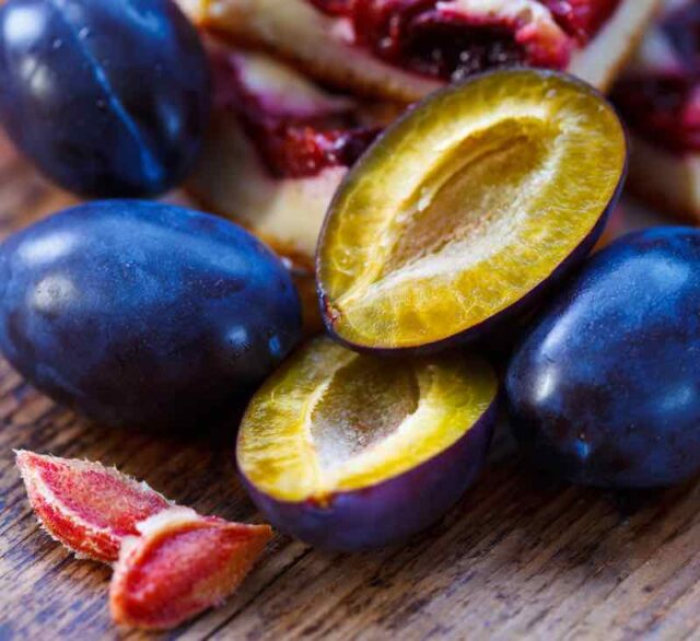 Everything You Need to Know About Damson Plums - Minneopa Orchards
