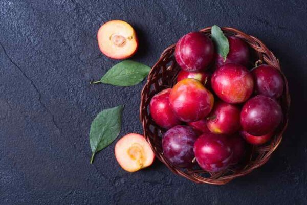 Red Plum Trees: Everything You Need To Know About Red Plums - Minneopa ...