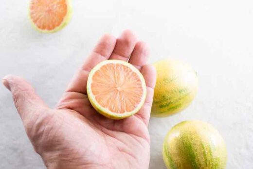 Variegated Pink Lemon Tree - Minneopa Orchards
