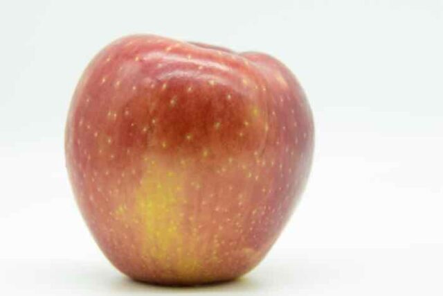 The Cosmic Crisp Apple - Minneopa Orchards