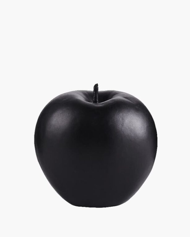 The Black Diamond Apple Tree - Minneopa Orchards