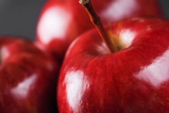 The Rave Apple Tree - Minneopa Orchards