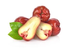 The Rose Apple Tree - Minneopa Orchards