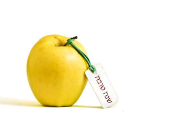 The Ein Shemer Apple Tree - Minneopa Orchards