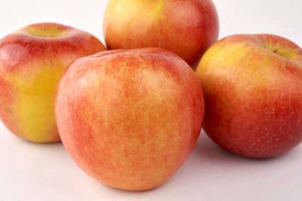 The Koru Apple Tree - Minneopa Orchards