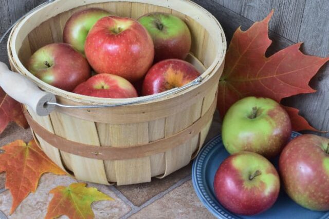 Pine Tree Apple Orchard: A Must-See Minnesota Apple Orchard - Minneopa ...