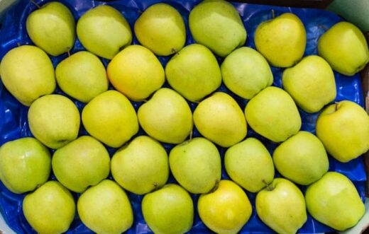 The Mutsu Apple Tree - Minneopa Orchards