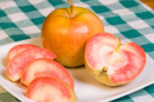 The Pink Pearl Apple - Minneopa Orchards