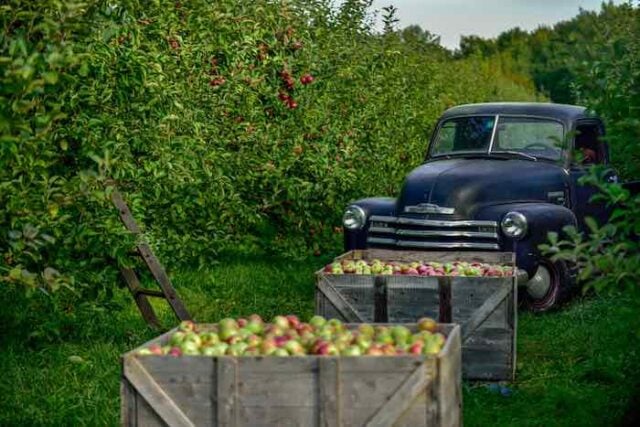 The 17 Best Apple Orchards in Vermont - Minneopa Orchards