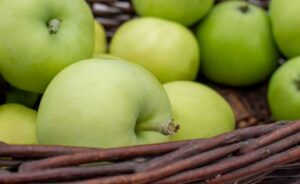 The White Transparent Apple Tree - Minneopa Orchards