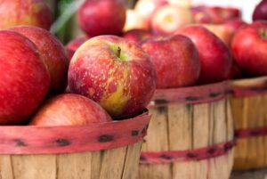 The Complete Apple Tree Care Guide: How to Grow and Care for Apple ...
