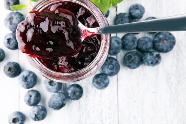 The Patriot Blueberry - Minneopa Orchards