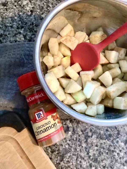 Sweet Cinnamon Apple Squares - Minneopa Orchards