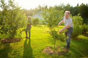 The Complete Apple Tree Care Guide: How to Grow and Care for Apple ...