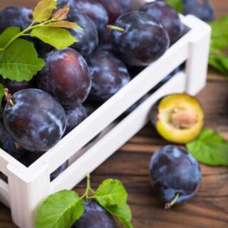 Plum Varieties - Minneopa Orchards