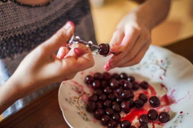 How to Grow a Cherry Tree: The Complete Guide - Minneopa Orchards