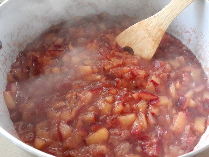 Plum Tree - Minneopa Orchards