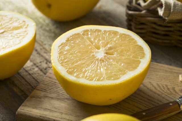 The Melogold Grapefruit Tree - Minneopa Orchards