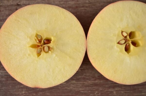 When Is the Right Time to Pick Apples? - Minneopa Orchards