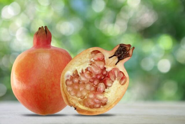 The Eversweet Pomegranate Tree - Minneopa Orchards