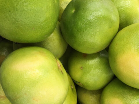 The Oro Blanco Grapefruit Tree - Minneopa Orchards