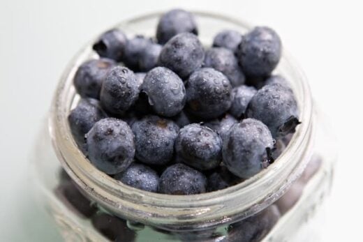The Misty Blueberry - Minneopa Orchards