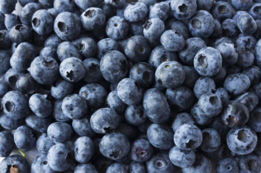 The Northcountry Blueberry - Minneopa Orchards