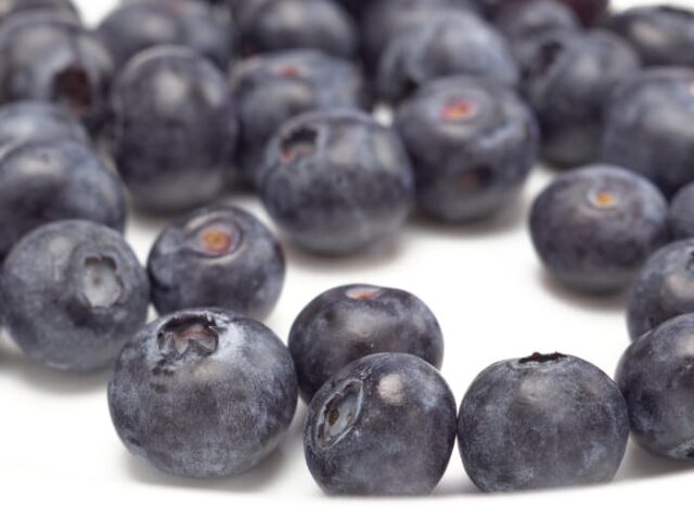 The Emerald Blueberry - Minneopa Orchards