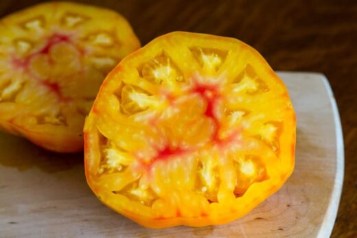 The Mr. Stripey Tomato - Minneopa Orchards