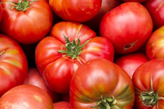 The German Johnson Tomato - Minneopa Orchards